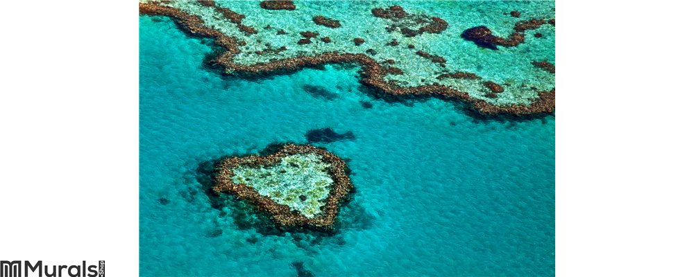 Great Barrier Reef Wall Mural