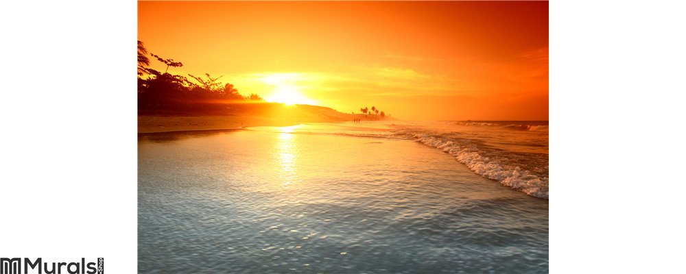 Ocean sunrise Wall Mural